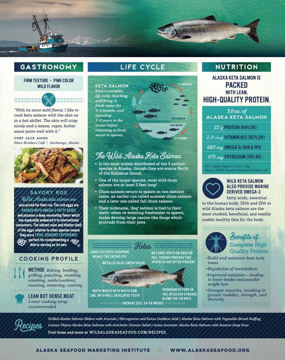 Wild Alaskan Keta Salmon Portions – Alaska Fresh Seafood