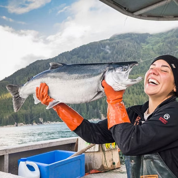 Why should I buy salmon from Alaska Fresh Seafood?